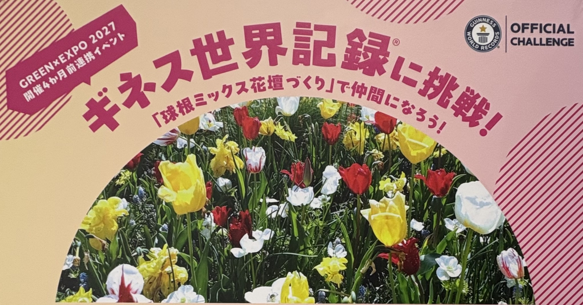 【2027年横浜園芸博】ギネス世界記録®に挑戦！11月に市内4拠点で2,000名の参加者を募集｜Future Earth